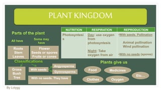 Plant kingdom 2 | PPSX | Gardening | Home & Garden