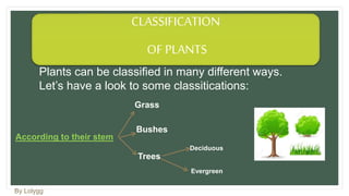 Plant kingdom 2 | PPSX | Gardening | Home & Garden