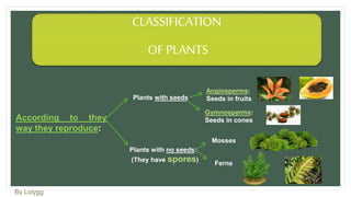 Plant kingdom 2 | PPSX | Gardening | Home & Garden