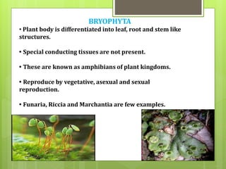 PLANT KINGDOM ( LIVE SCIENCE ) | PPTX