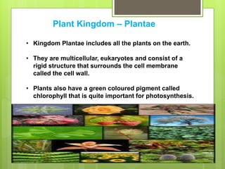 PLANT KINGDOM ( LIVE SCIENCE ) | PPTX