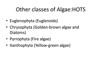 PLANT KINGDOM_ALGAE_PRIYA JHA PGT BIOLOGY_KVSDC | PPT