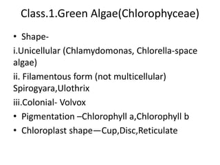 PLANT KINGDOM_ALGAE_PRIYA JHA PGT BIOLOGY_KVSDC | PPT