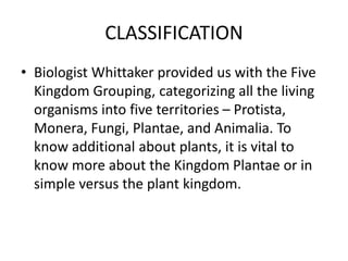 PLANT KINGDOM_ALGAE_PRIYA JHA PGT BIOLOGY_KVSDC | PPTX