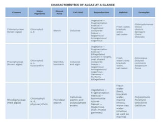 PLANT KINGDOM_ALGAE_PRIYA JHA PGT BIOLOGY_KVSDC | PPTX