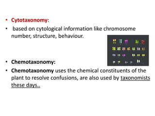 Plant kingdom and plant taxonamy | PPTX