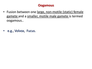 Plant kingdom and plant taxonamy | PPTX