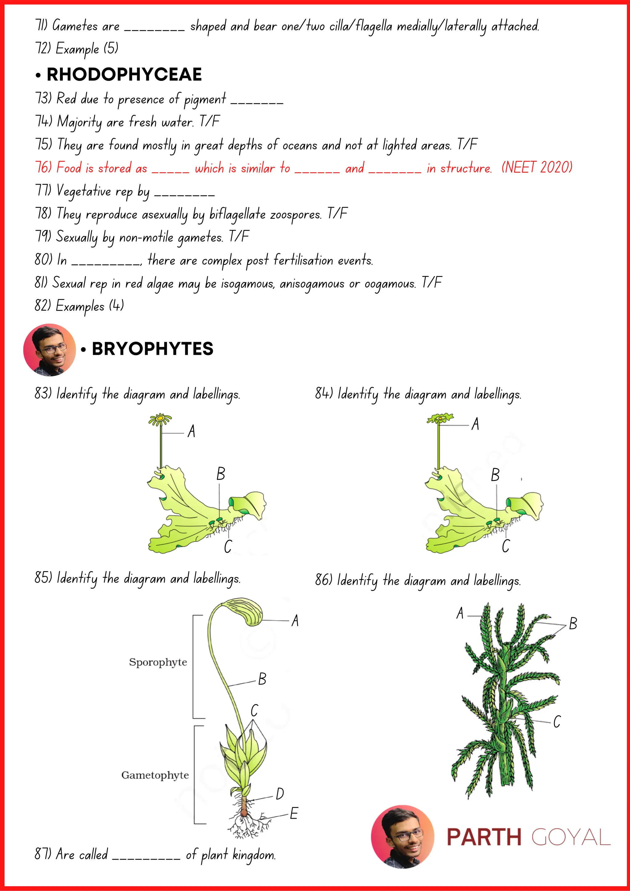 Plant Kingdom BioHack class 11 neet .... | PDF