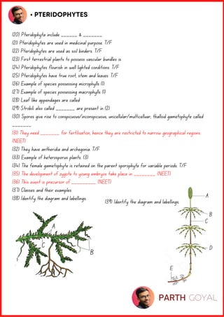 Plant Kingdom BioHack class 11 neet .... | PDF