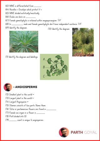 Plant Kingdom BioHack class 11 neet .... | PDF