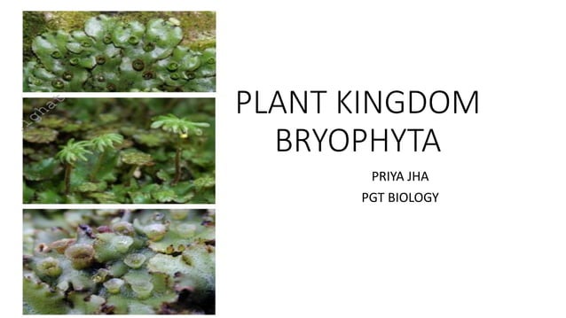 Plant Kingdom_Bryophytes_PRIYA JHA KVSDC | PPT
