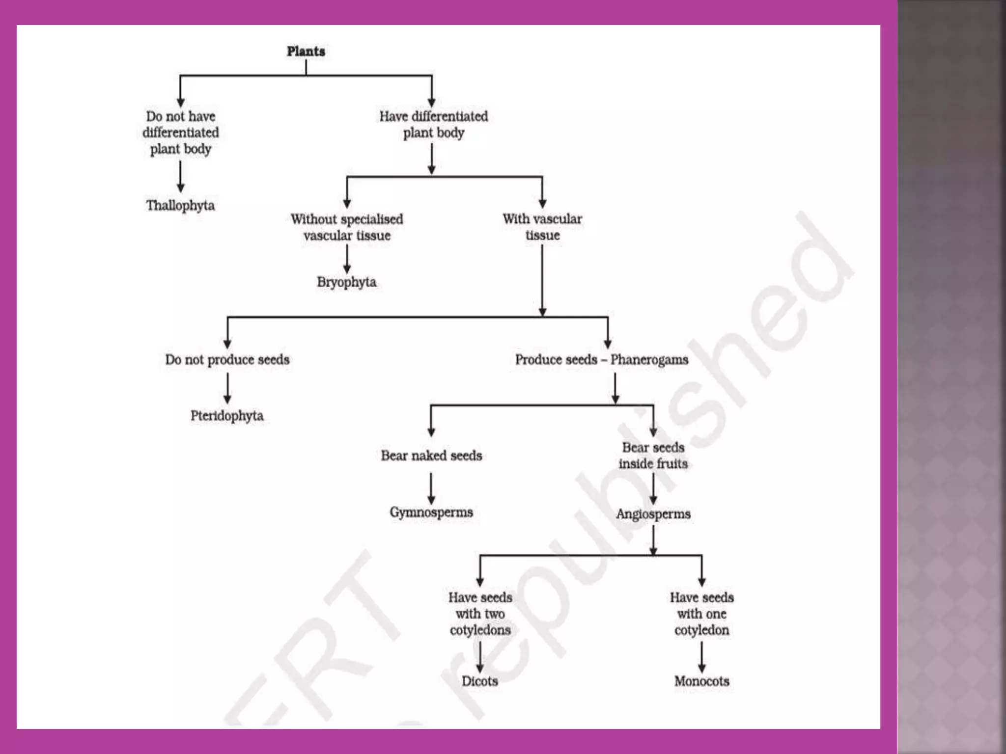 PLANT KINGDOM CLASS XI CHAPTER-03,BIOLOGY.pptx