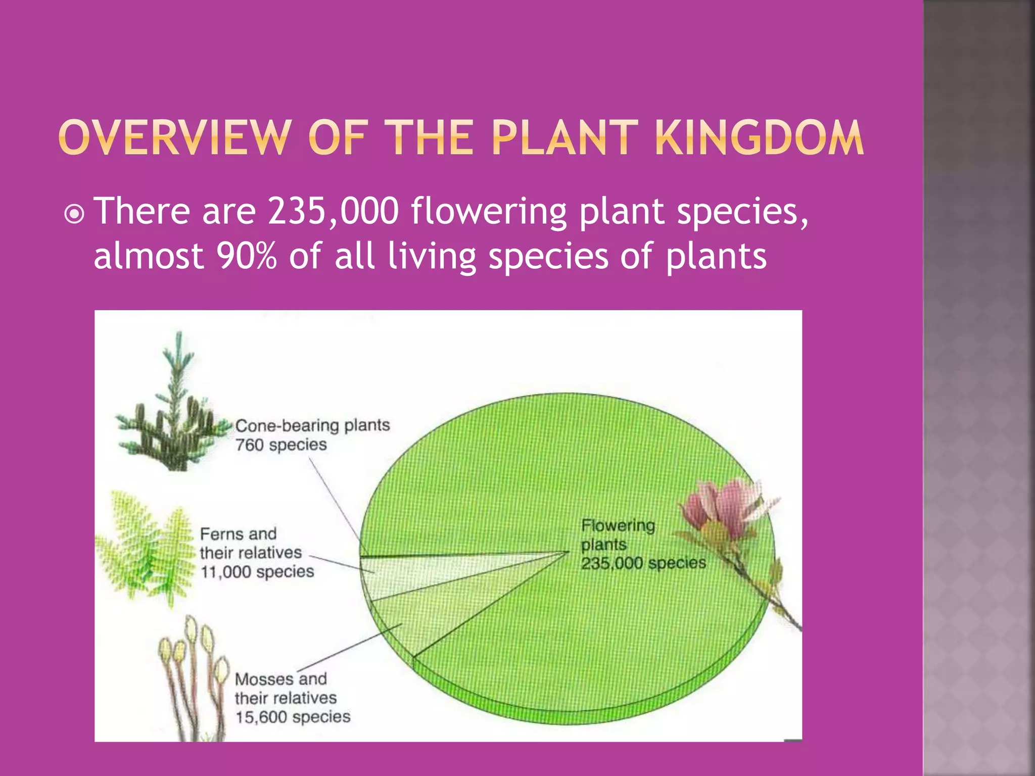 PLANT KINGDOM CLASS XI CHAPTER-03,BIOLOGY.pptx