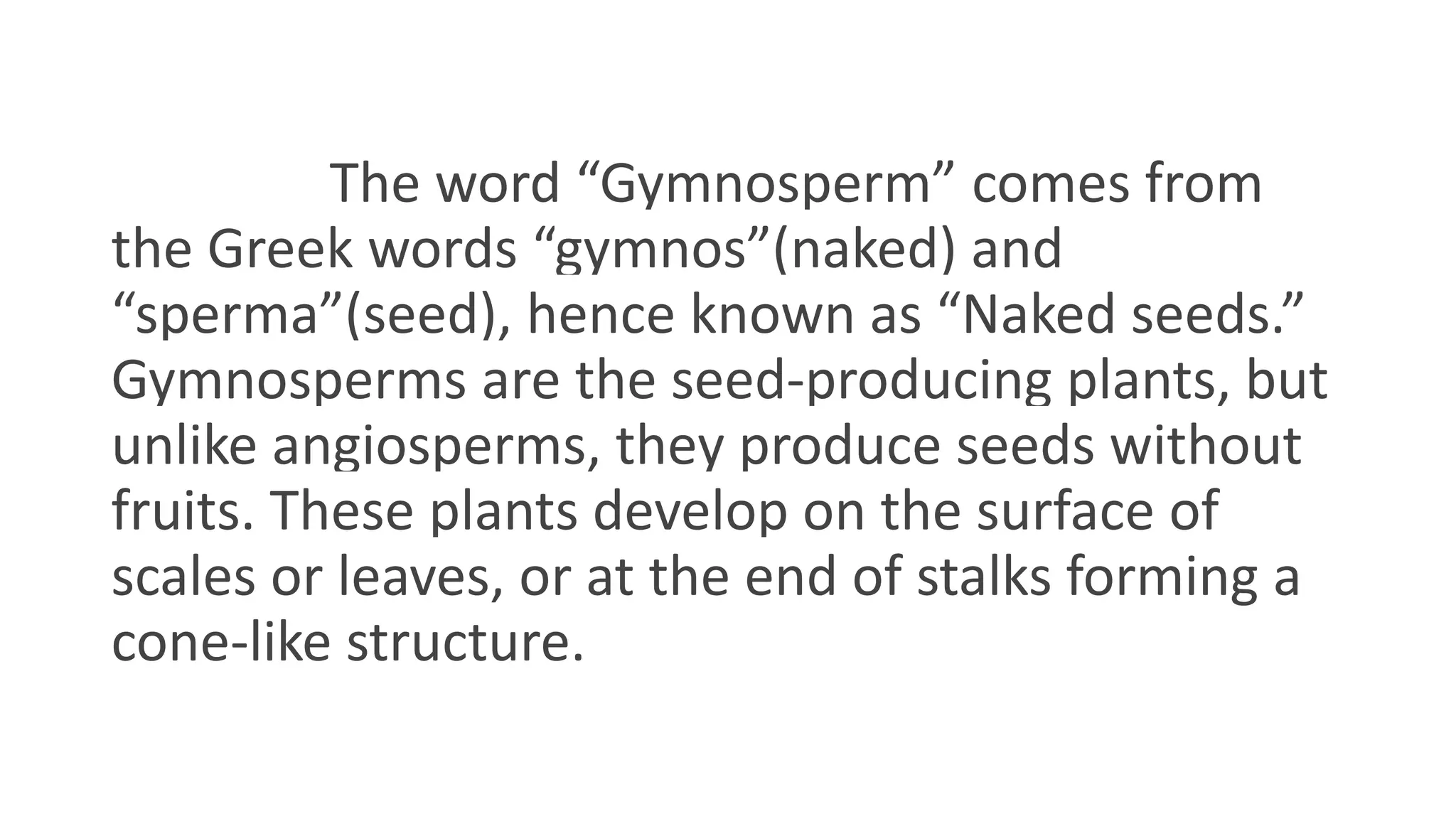 PLANT KINGDOM GYMNOSPERM _PRIYA JHA.pptx