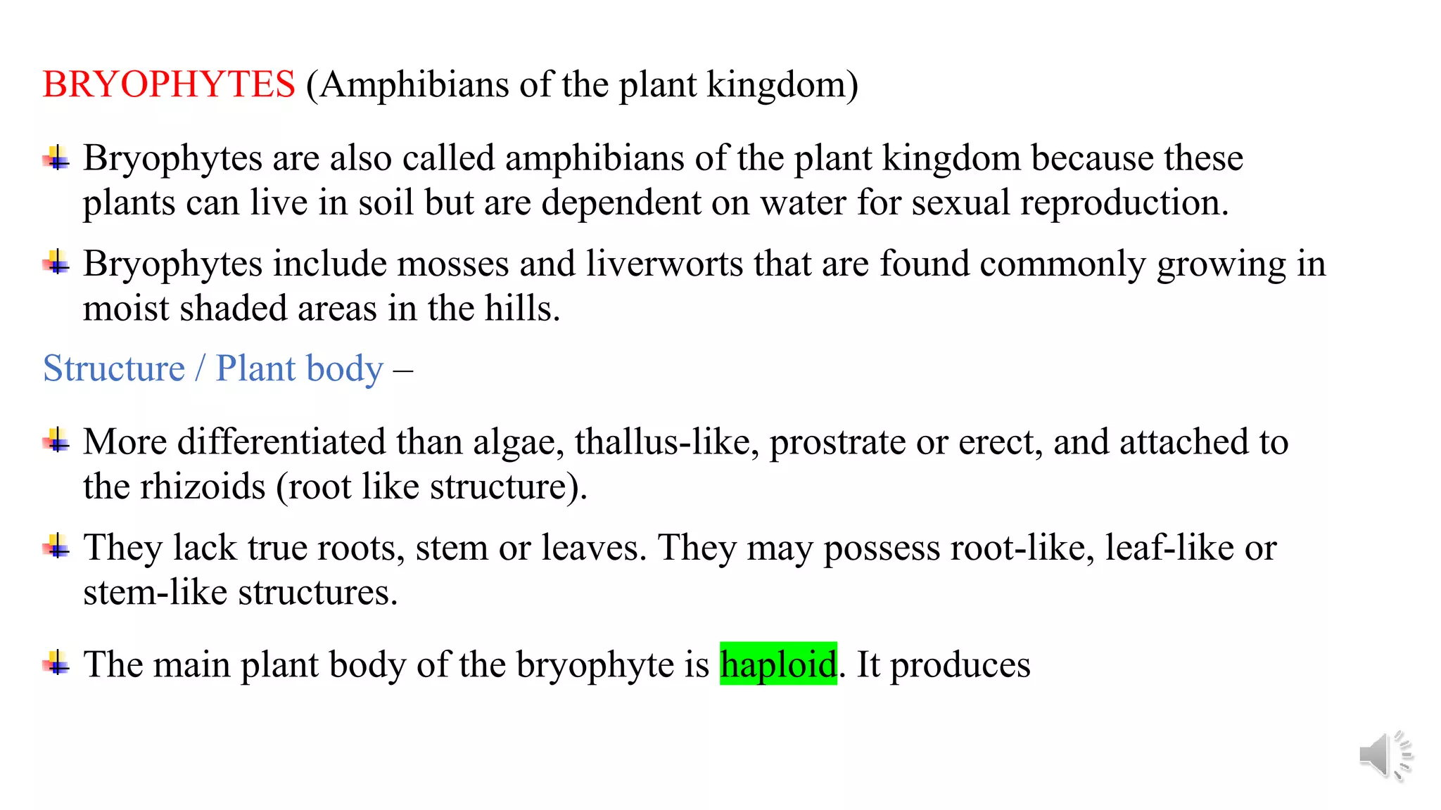 Plant kingdom (11th Biology) for complete 11th and 12th notes 1999 and ...