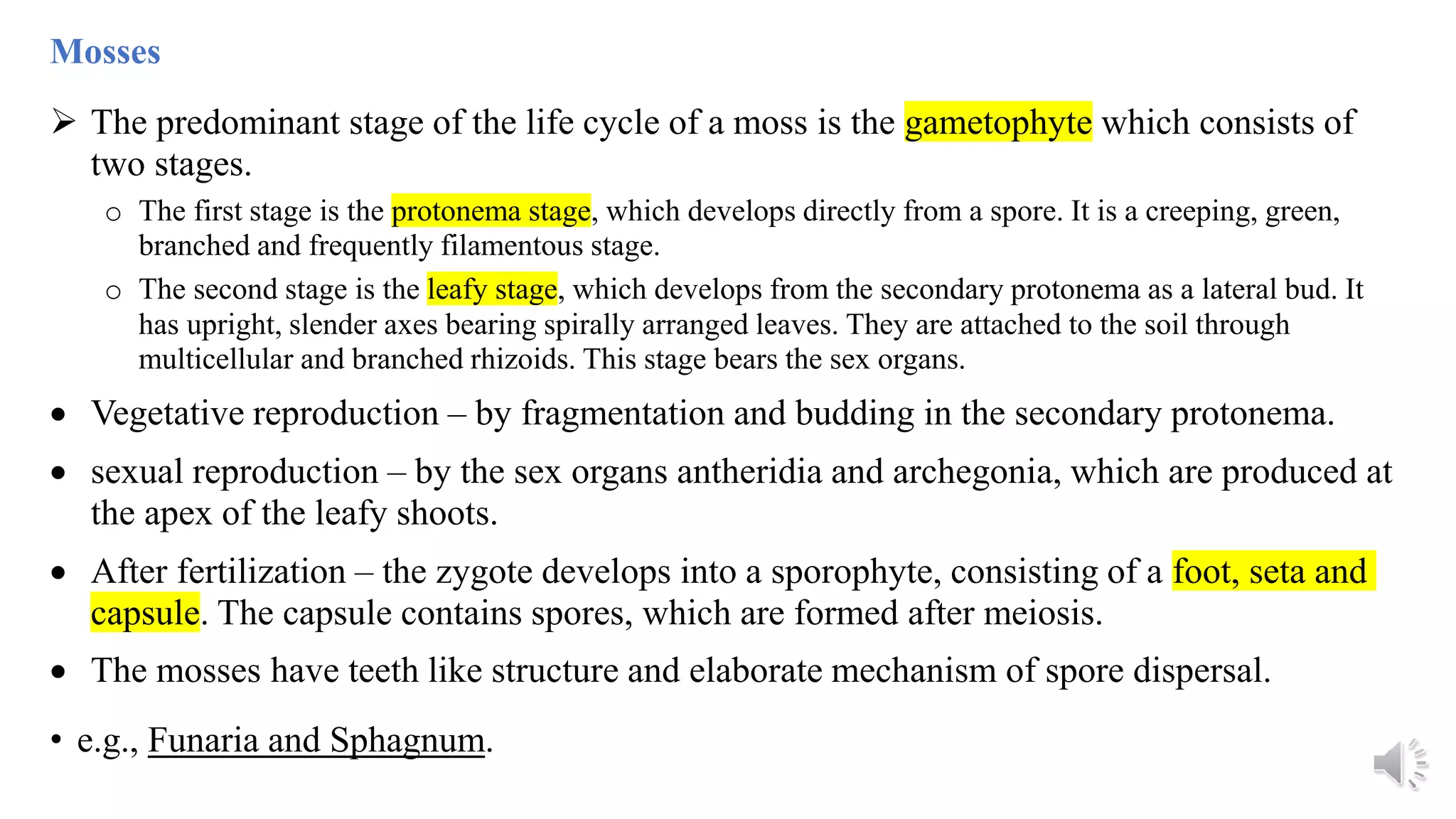 Plant kingdom (11th Biology) for complete 11th and 12th notes 1999 and ...
