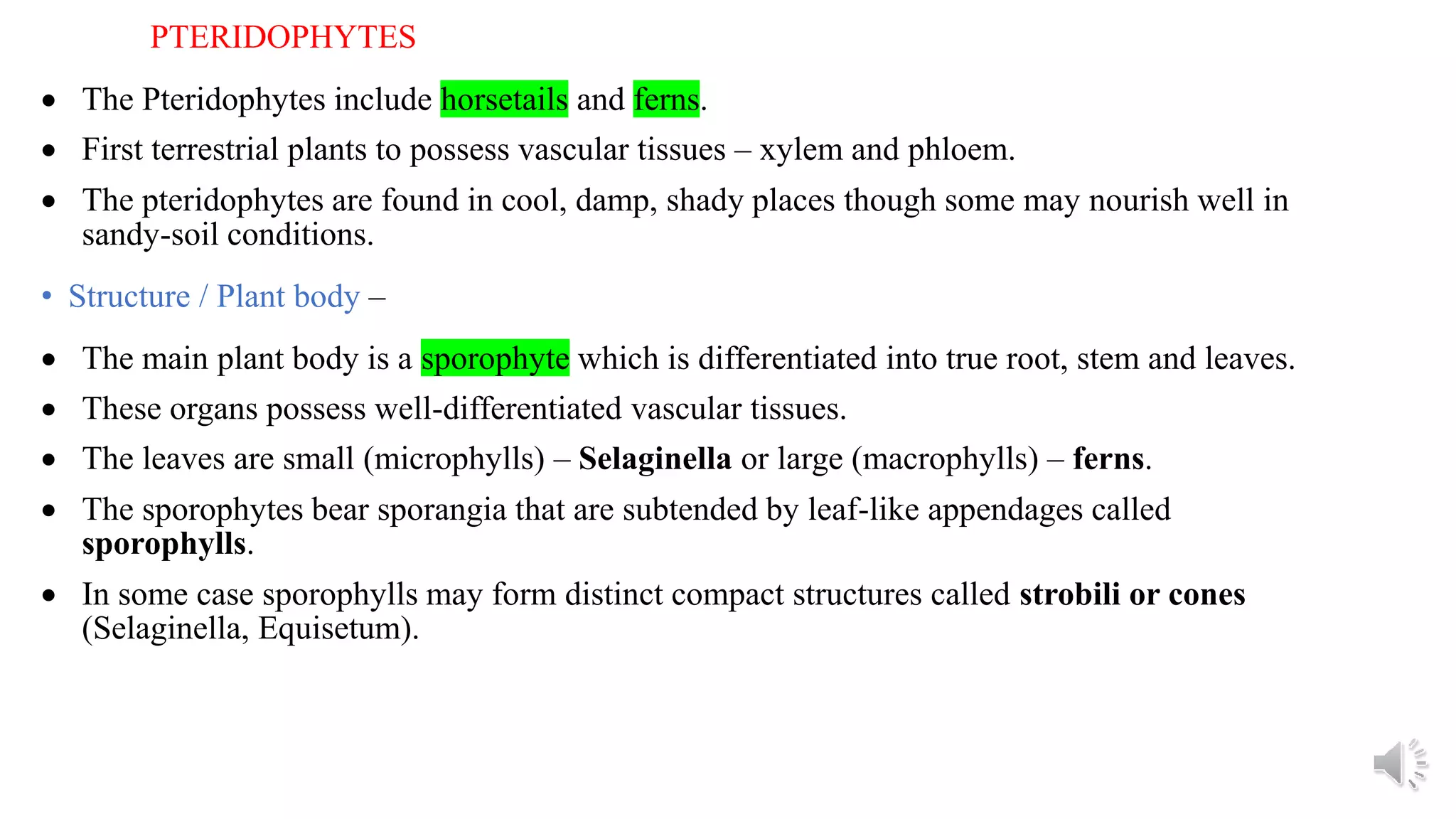Plant kingdom (11th Biology) for complete 11th and 12th notes 1999 and ...