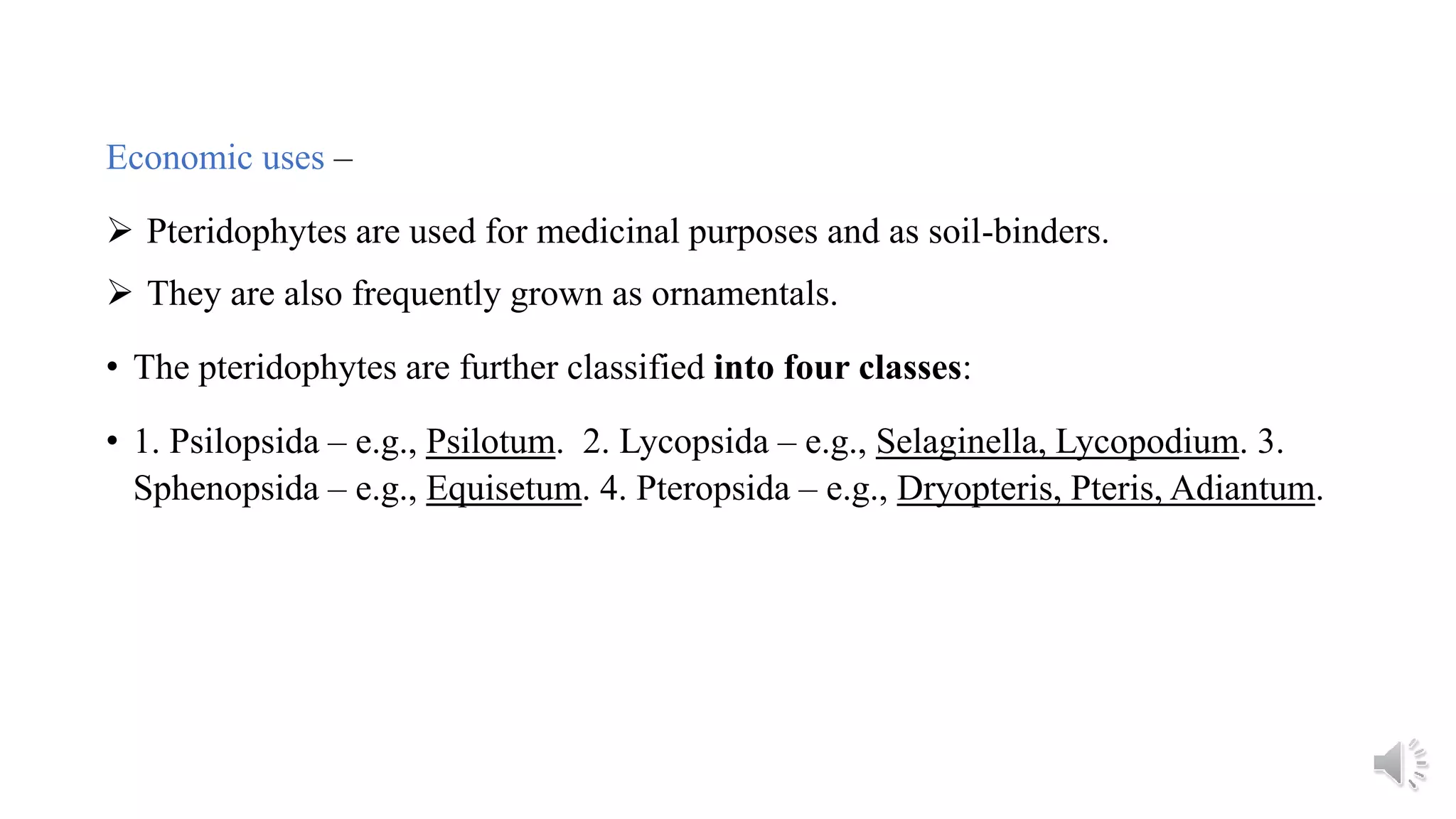 Plant kingdom (11th Biology) for complete 11th and 12th notes 1999 and ...