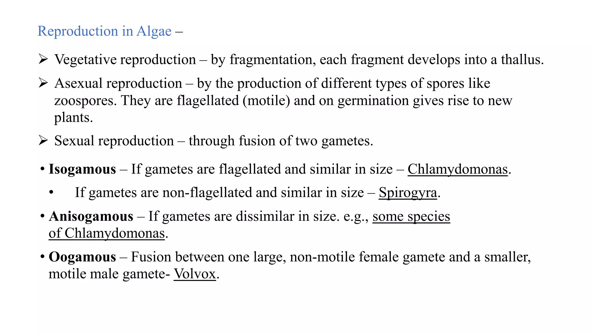 Plant kingdom (11th Biology) for complete 11th and 12th notes 1999 and ...