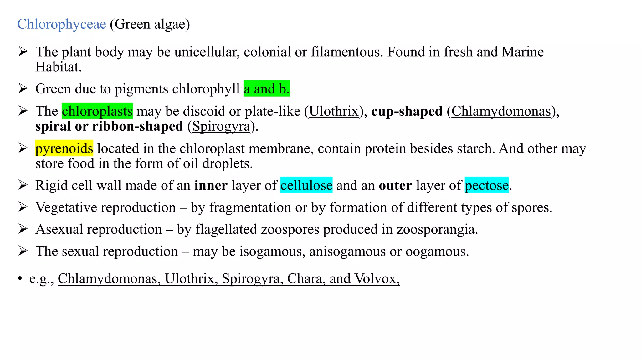 Plant kingdom (11th Biology) for complete 11th and 12th notes 1999 and ...