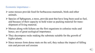 Plant kingdom (11th Biology) for complete 11th and 12th notes 1999 and ...