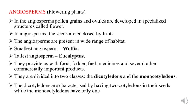 Plant kingdom (11th Biology) for complete 11th and 12th notes 1999 and ...