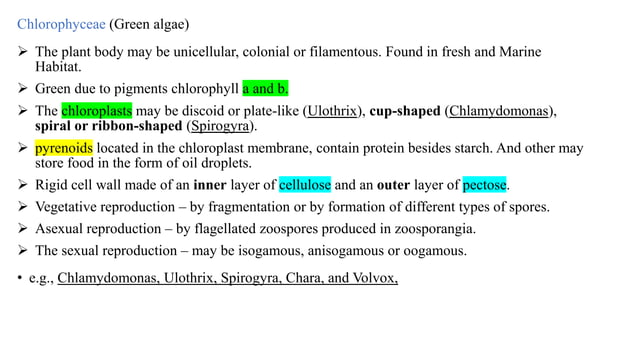 Plant kingdom (11th Biology) for complete 11th and 12th notes 1999 and ...