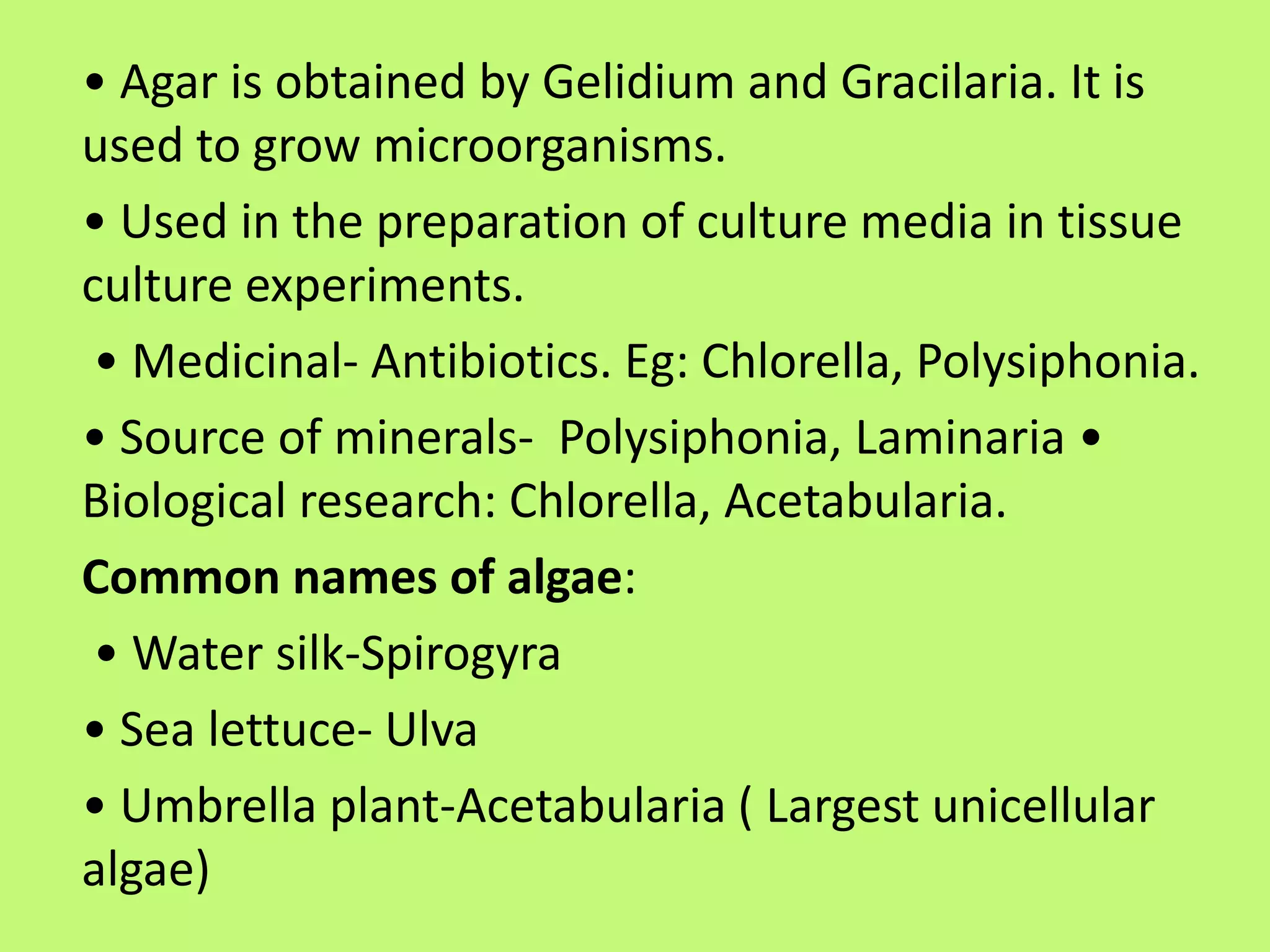 PLANT KINGDOM PPT.pdf | Reproductive Health | Diseases and Conditions