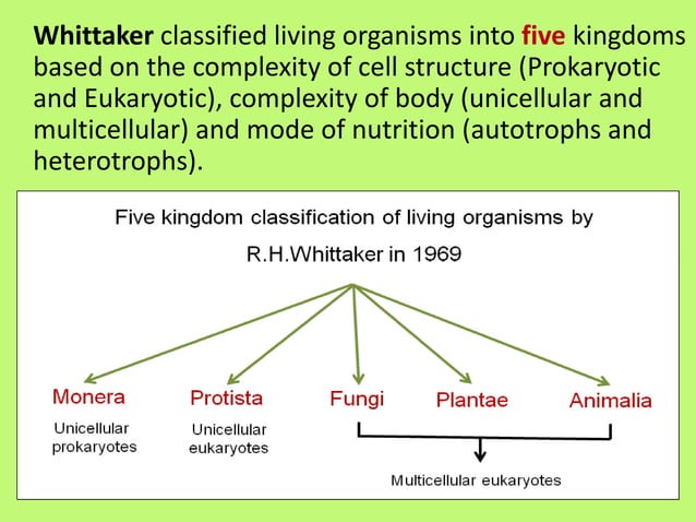 PLANT KINGDOM PPT.pdf | Reproductive Health | Diseases and Conditions