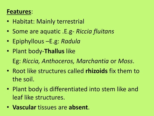 PLANT KINGDOM PPT.pdf | Reproductive Health | Diseases and Conditions