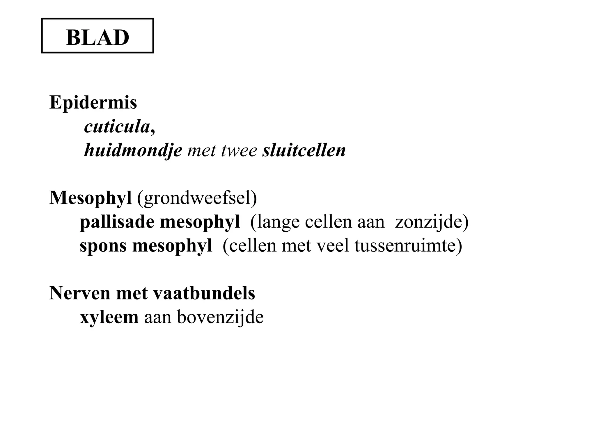 Plantkunde 35c | PPT