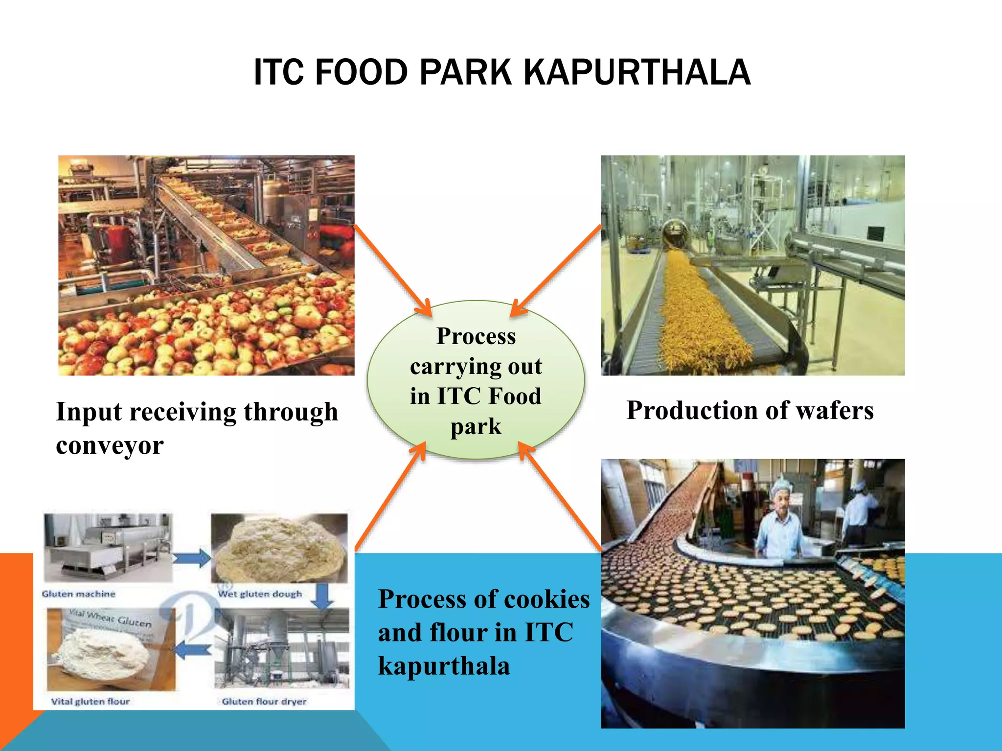 Plant layout itc | PPTX