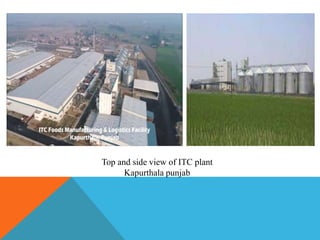 Plant layout itc | PPTX