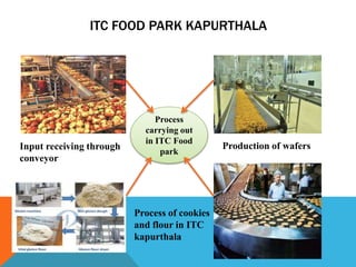 Plant layout itc | PPTX