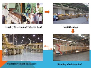 Plant layout itc | PPTX