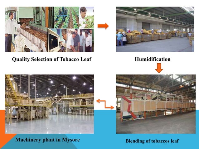 Plant layout itc | PPTX