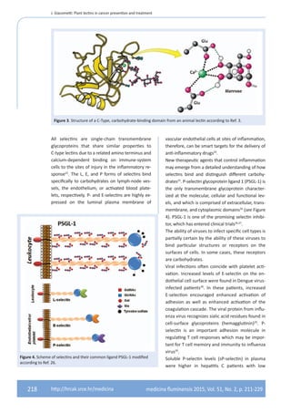 Plant lectins in cancer prevention and treatment | PDF
