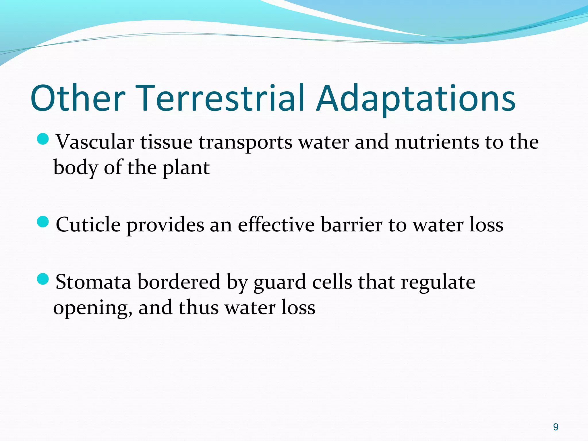 Plant lecture 7 | PPT
