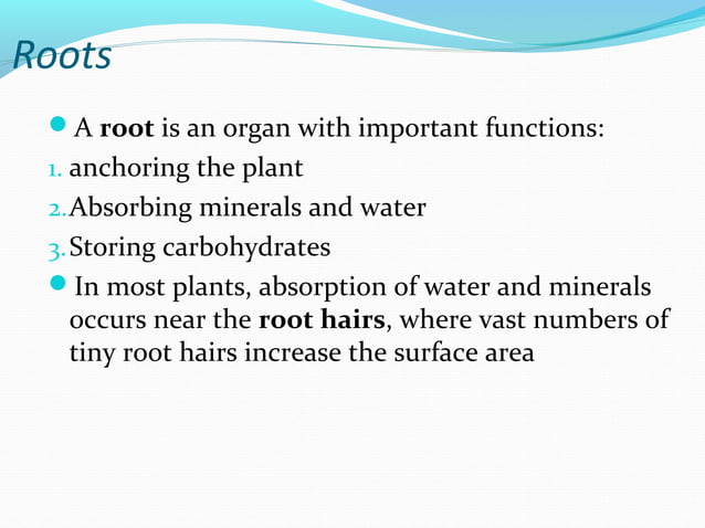 Plant lecture 7 | PPT