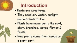 Plant Life.pdf