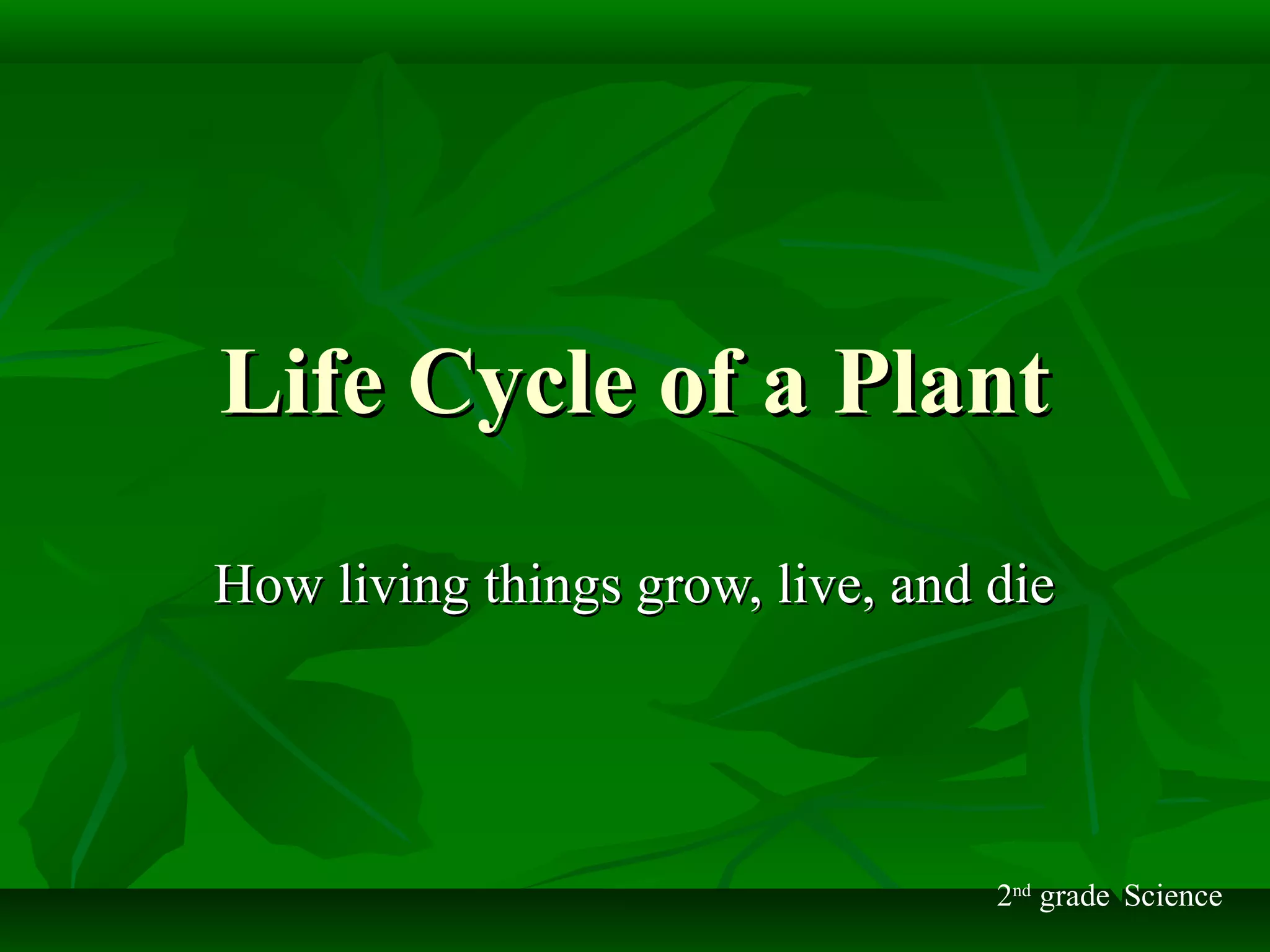 Plant life cycle | PPT | Gardening | Home & Garden