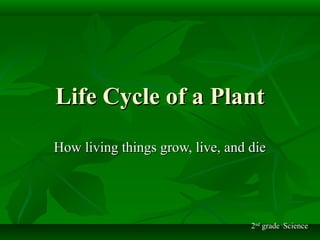Plant life cycle | PPT