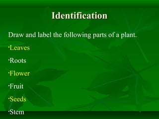 Plant life cycle | PPT