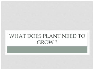 plant life cycle.pptx