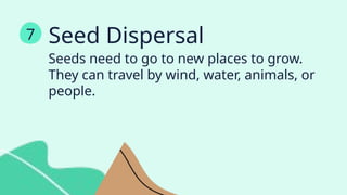 Plant Life Cycle Educational Presentation in Green Yellow Animated ...