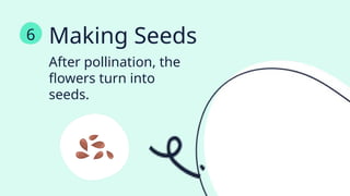 Plant Life Cycle Educational Presentation in Green Yellow Animated ...