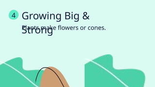 Plant Life Cycle Educational Presentation in Green Yellow Animated ...