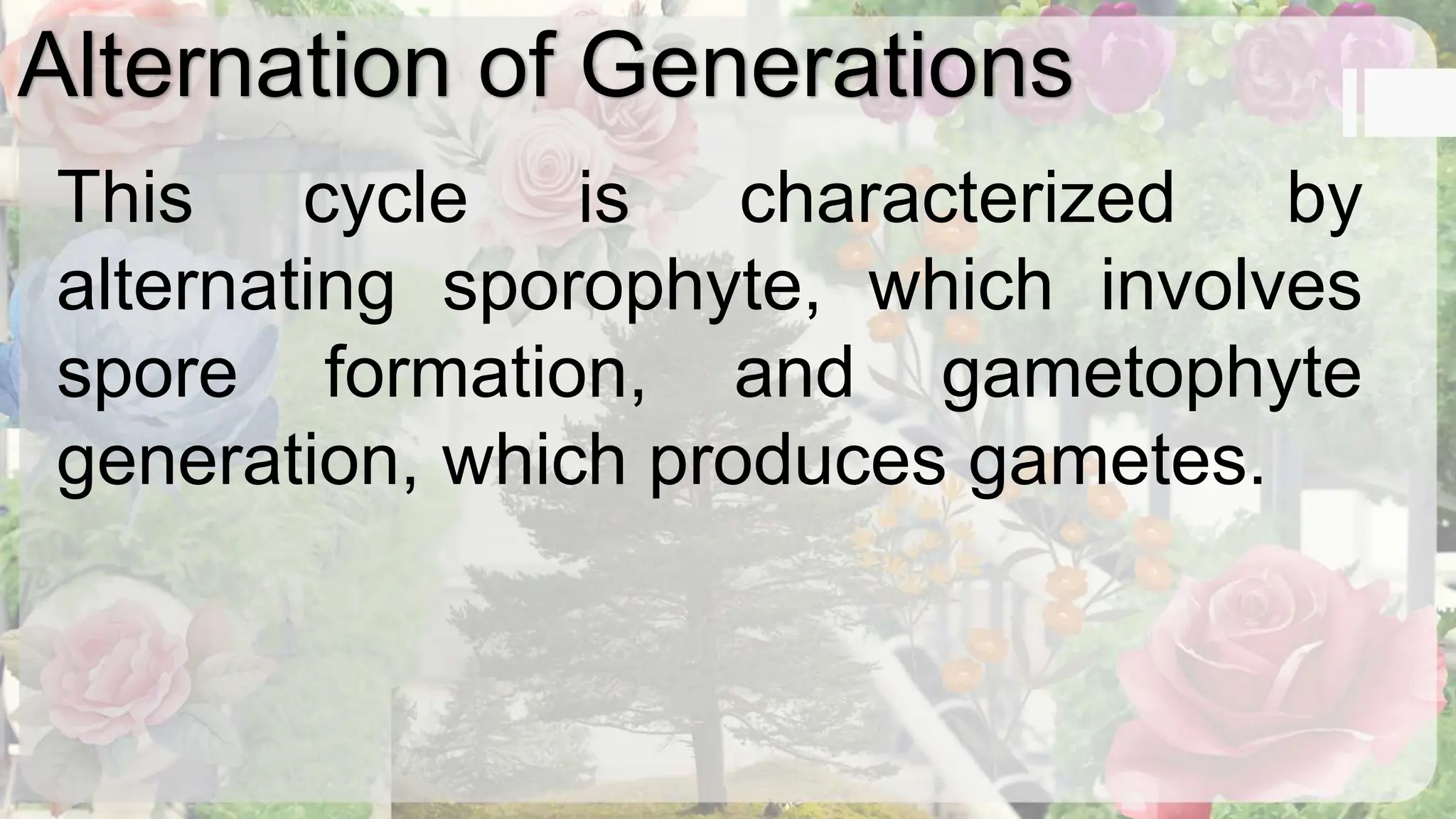 Plant Life Cycles of Flower bearing plant, spore bearing plant and Cone ...