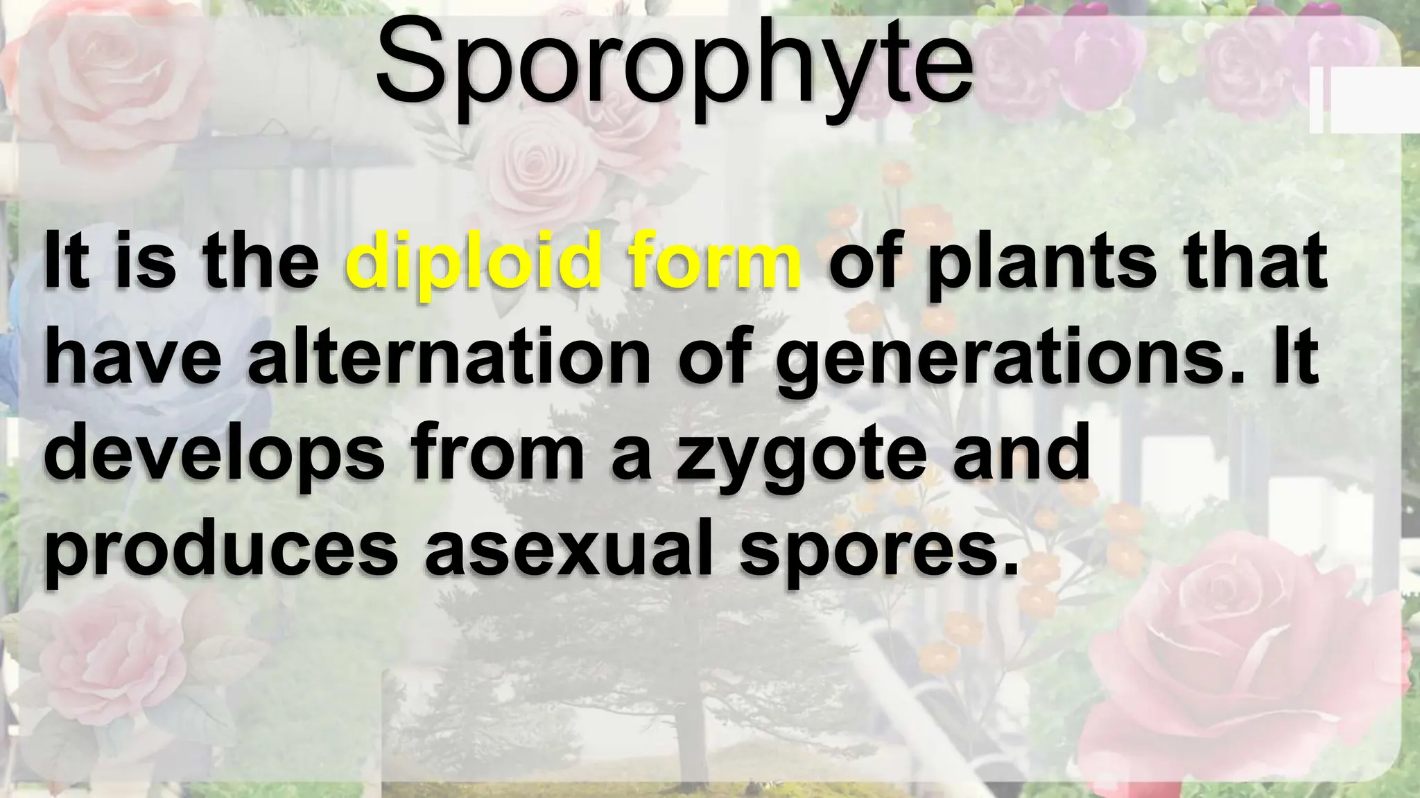 Plant Life Cycles of Flower bearing plant, spore bearing plant and Cone ...