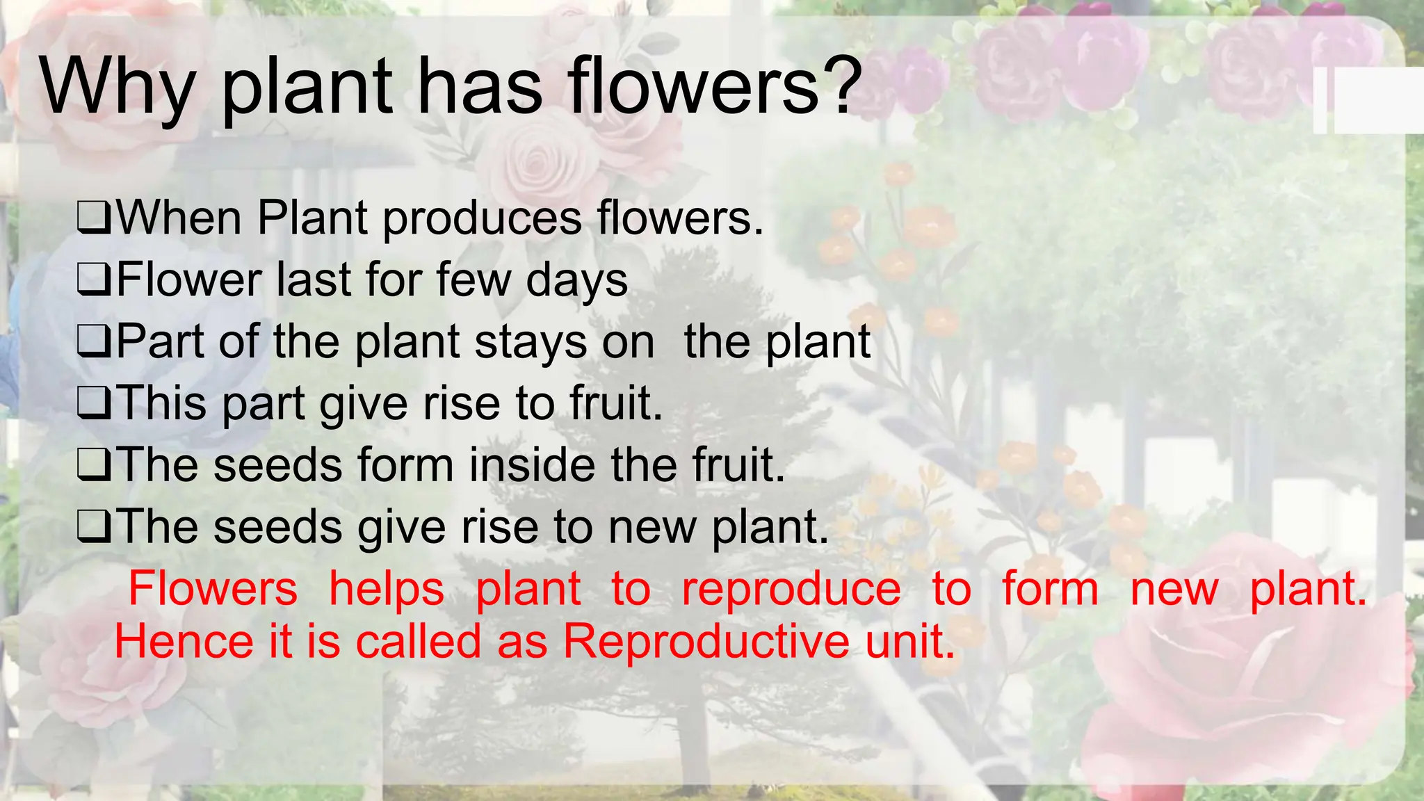 Plant Life Cycles of Flower bearing plant, spore bearing plant and Cone bearing plant | PPTX